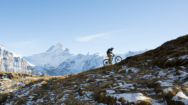 Unlock the growth potential of variable annuities: A practical way to ...